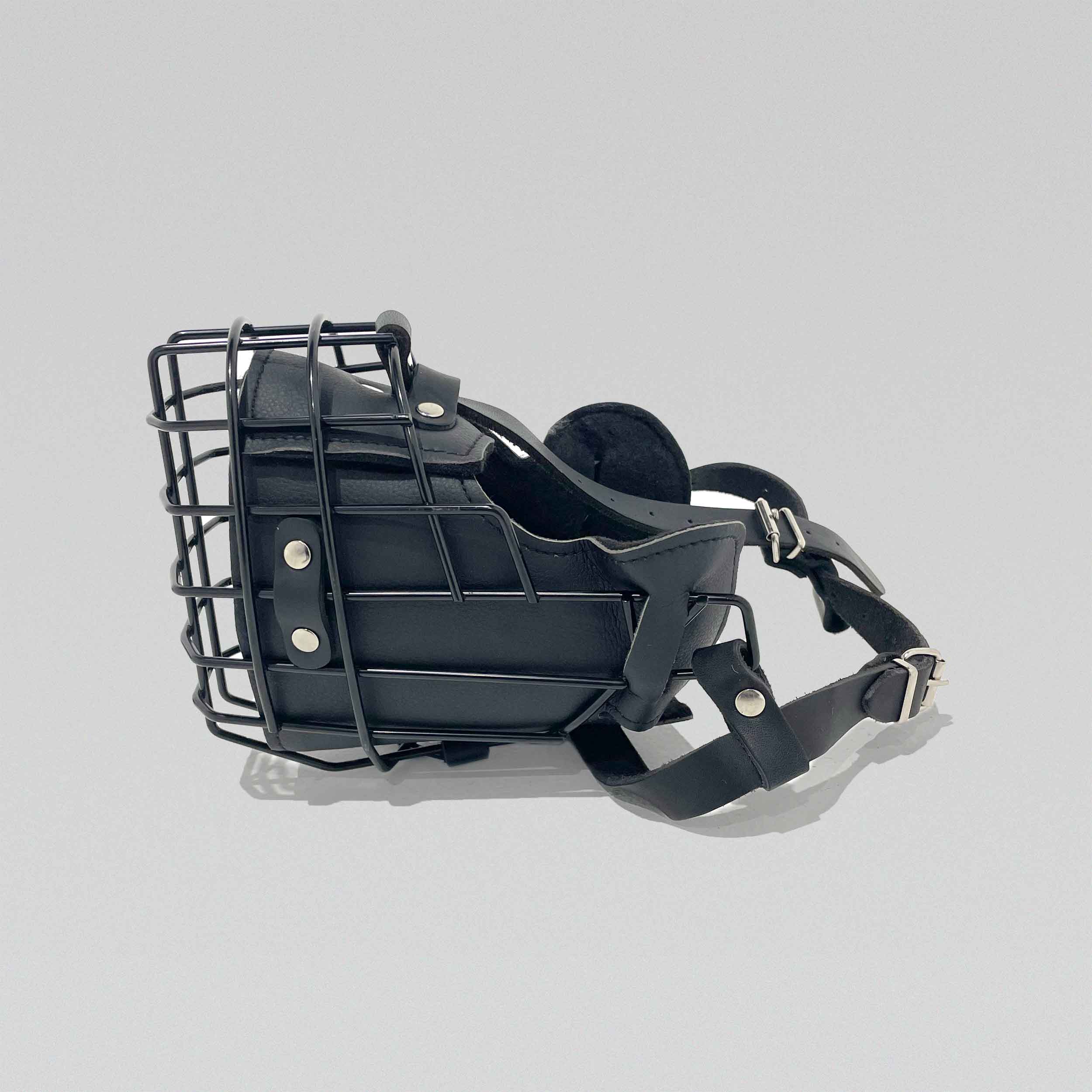 Dog Muzzles - Safe & Comfortable Restraints | eDog AU